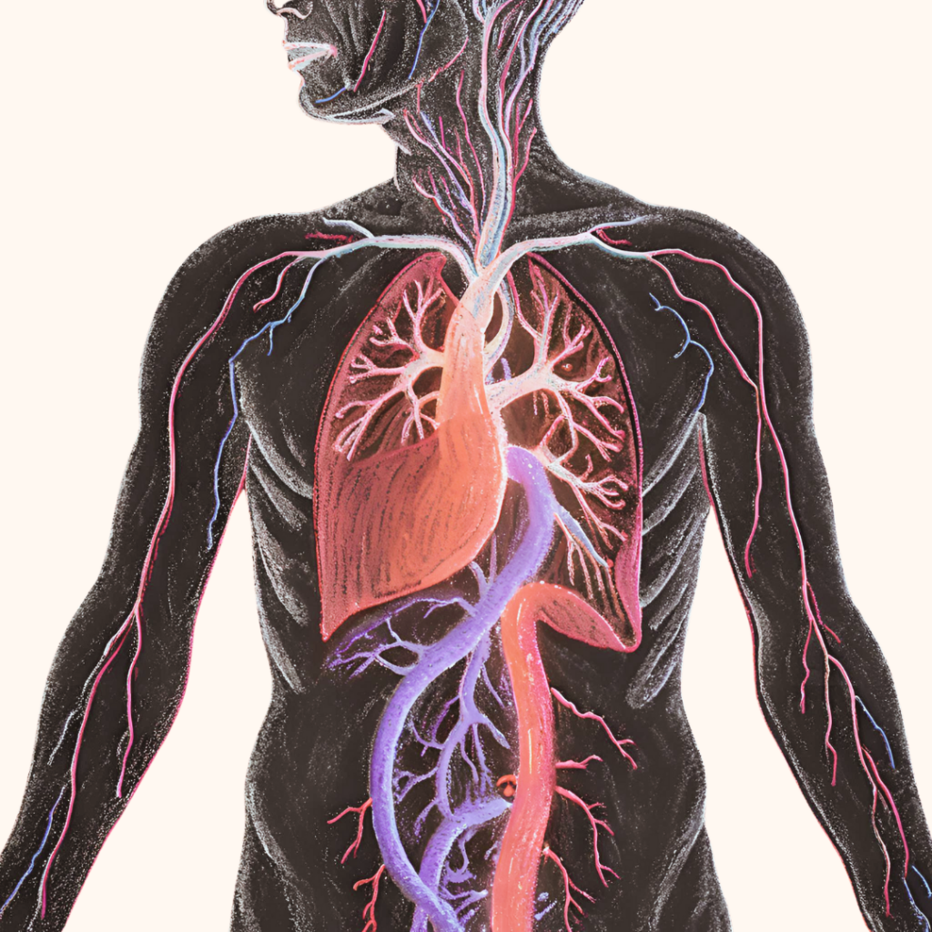 Syndrome de Dunbar – Association Espoir de Noisette